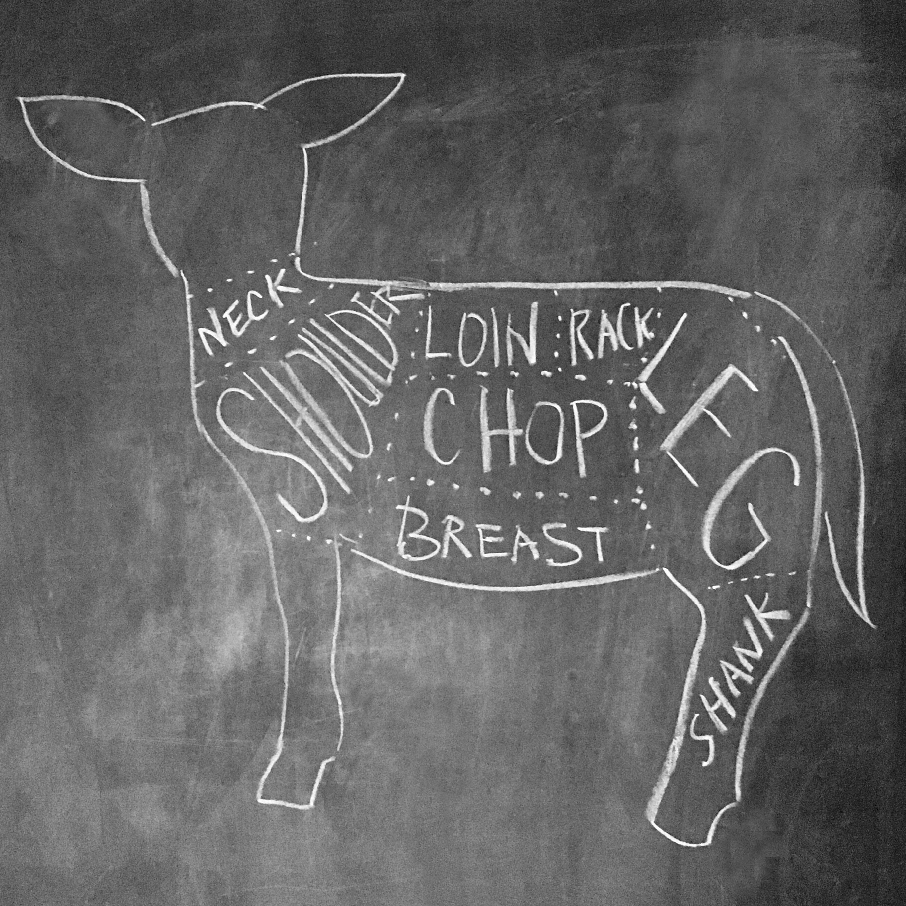 Grass-finished lamb – Svec Farm